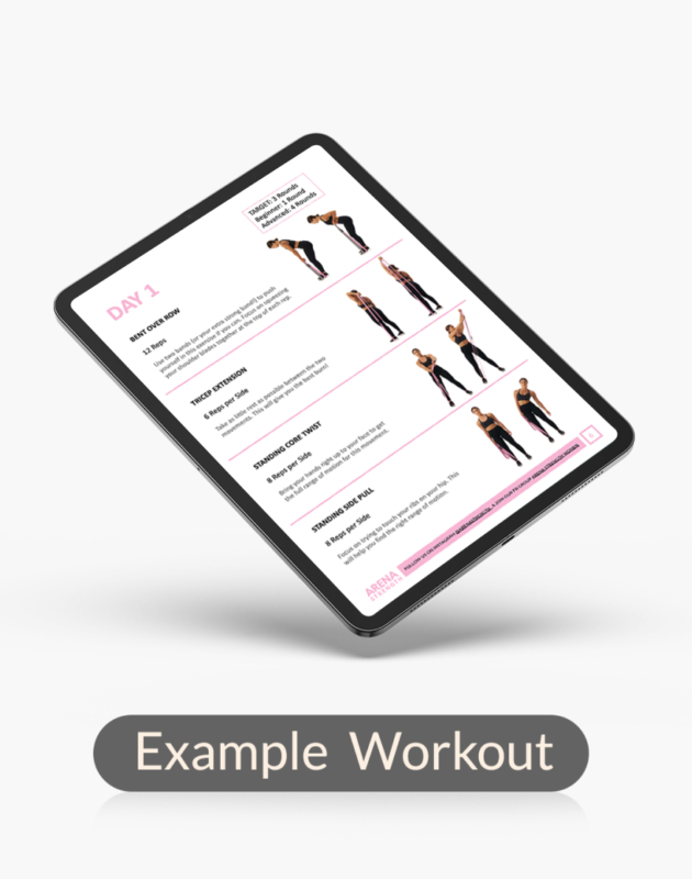 120 Day Total Body Challenge (1+2) - Arena Strength