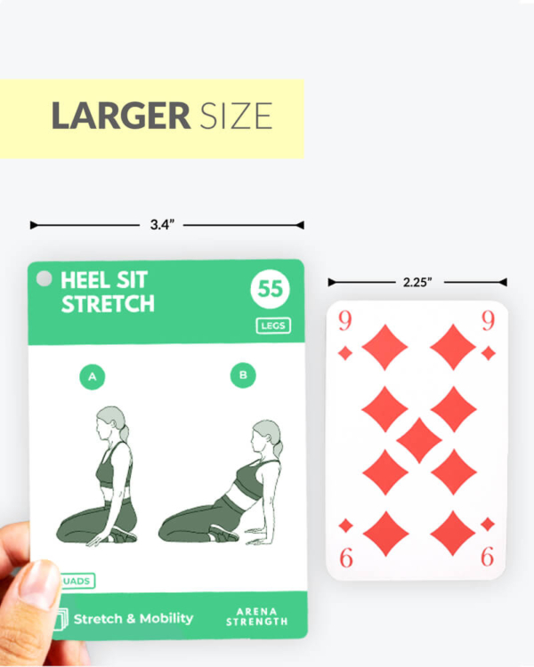 Stretch & Mobility Deck - Arena Strength